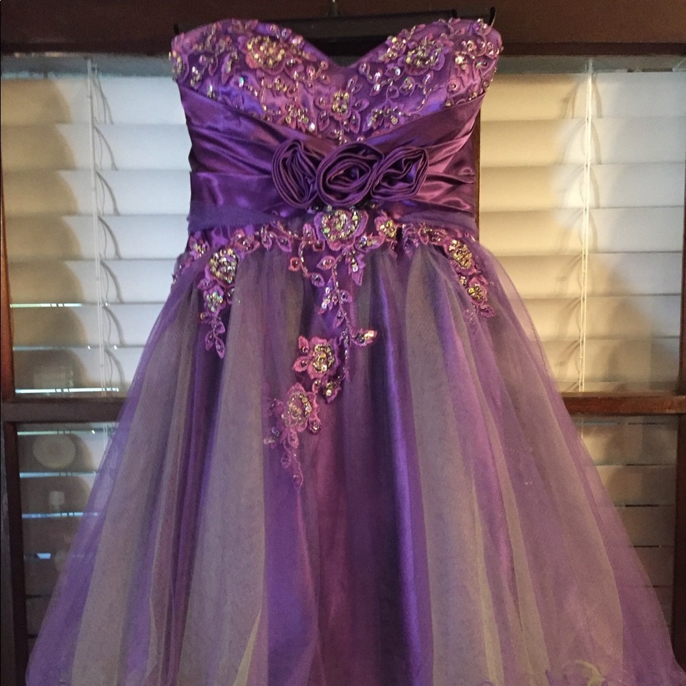 Cinderella Purple Embroidered Beaded Floral Prom - Gem